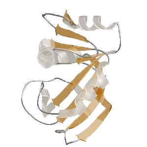 NOVOS Core | A Novel Anti-Aging Supplement