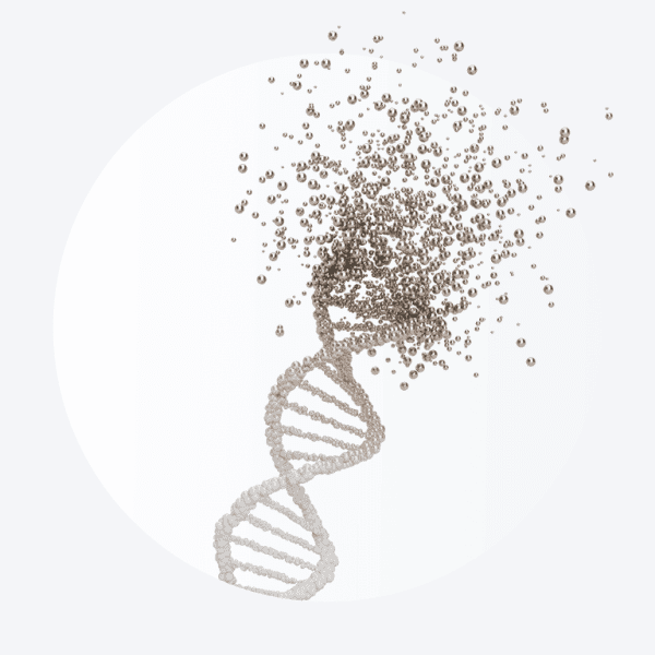 CAUSES OF AGING - GENOMIC INSTABILITY - NOVOS