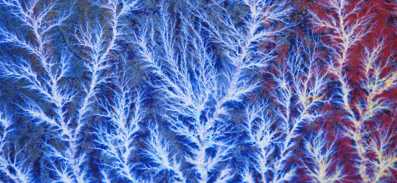 How Do Growth Pathways & Nutrient Sensing Impact Our Aging?